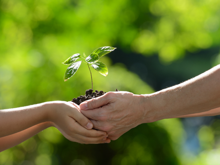 5 ideas sobre el cuidado ambiental para desarrollar con tus hijos en ...