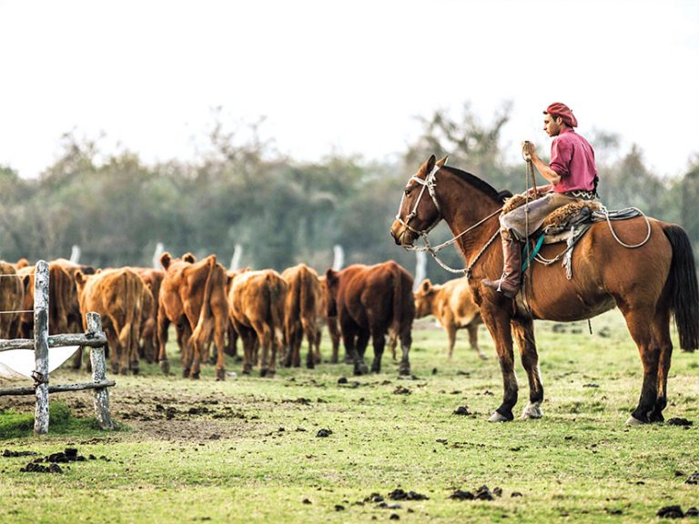 El campo y la ciudad: las características principales de cada uno ...