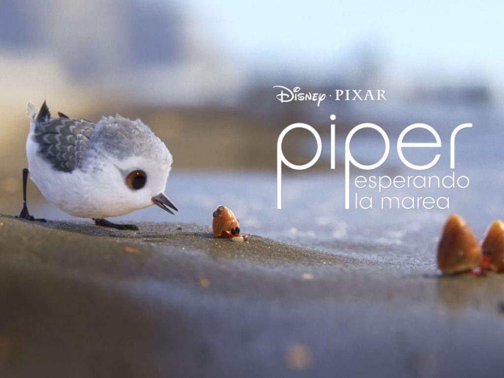 "Piper", el cortometraje de Pixar sobre superar los miedos que te ...