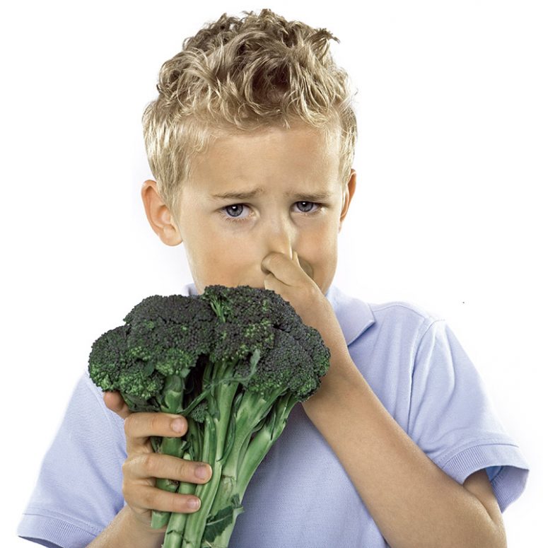 Los sentidos: toda la información sobre el olfato y un material ...