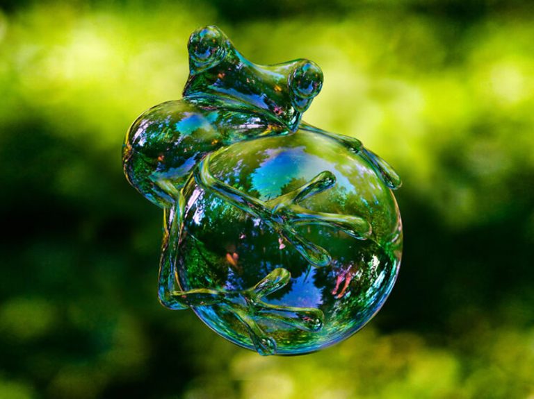 La plataforma “DesignCrowd” lanzó un concurso sobre imágenes de ranas ...