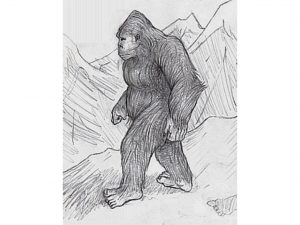 El yeti: ¿mito o realidad? - Billiken