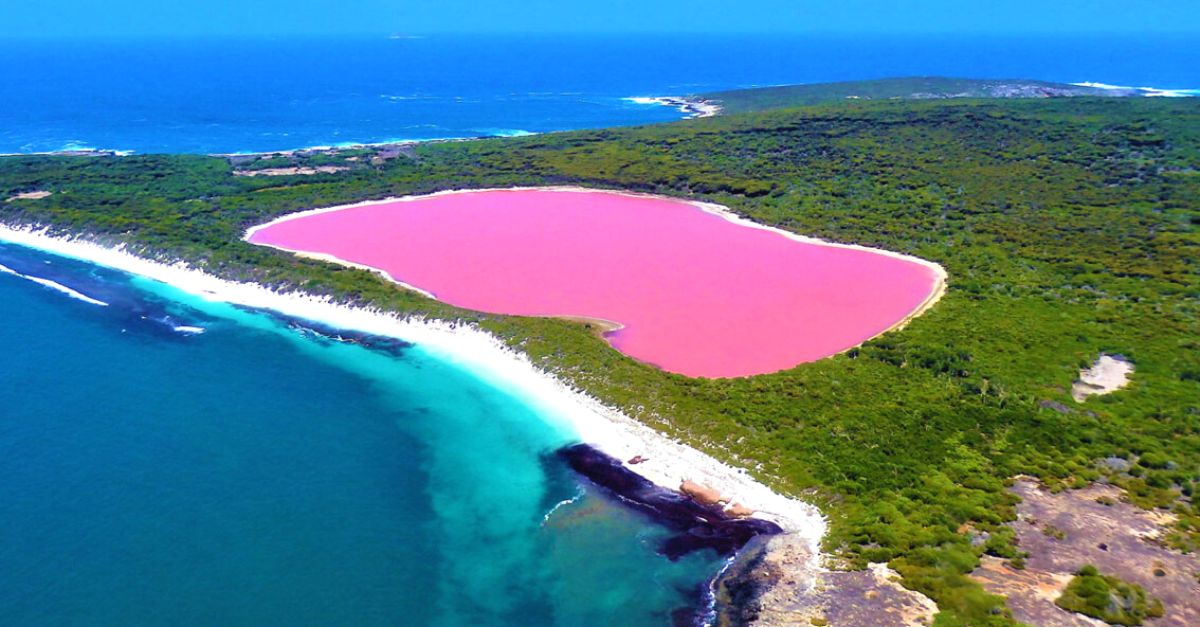 ¿Sabías que en Australia existe un lago rosa? - Billiken