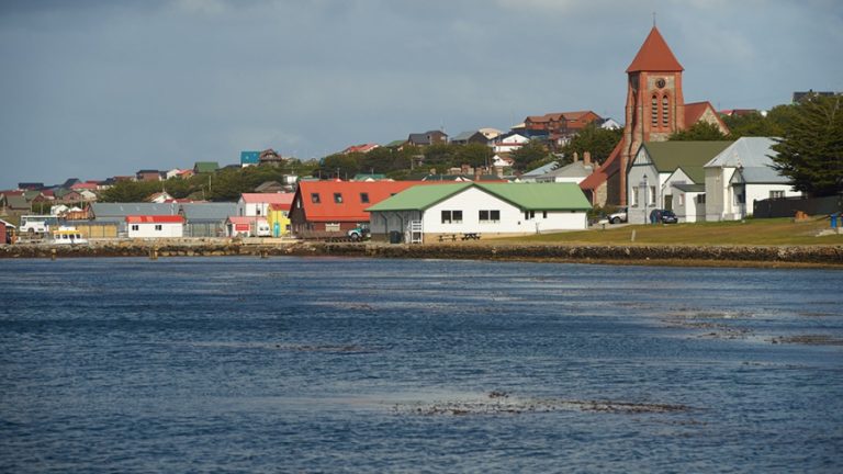 Islas Malvinas: detalles exclusivos de su relieve, flora y fauna - Billiken