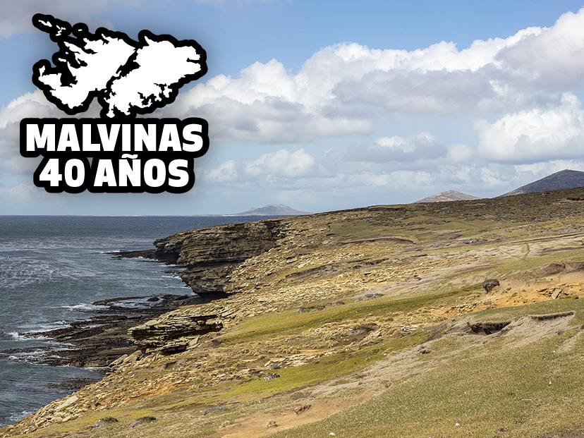Islas Malvinas: relieve, flora y fauna - Billiken Islas Malvinas: relieve, flora y fauna - Billiken