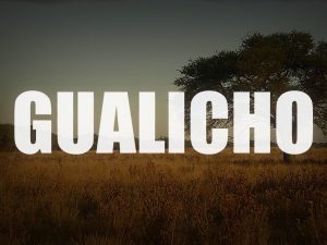 Origen y significado de la palabra gualicho - Billiken