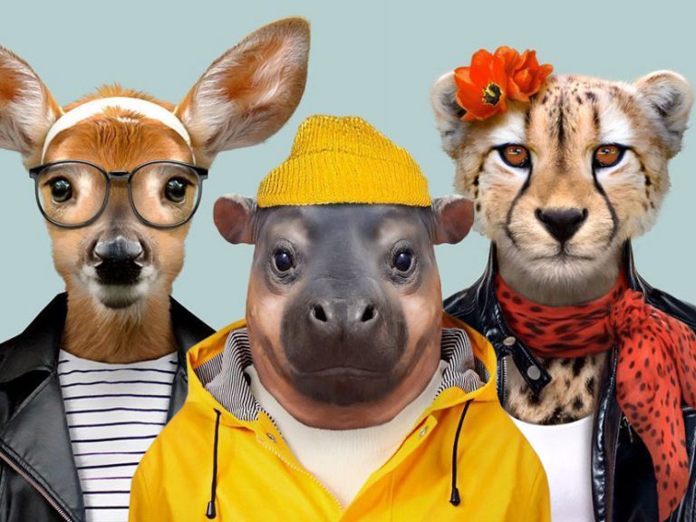 Un fotógrafo catalán crea increíbles retratos de animales vestidos “a ...