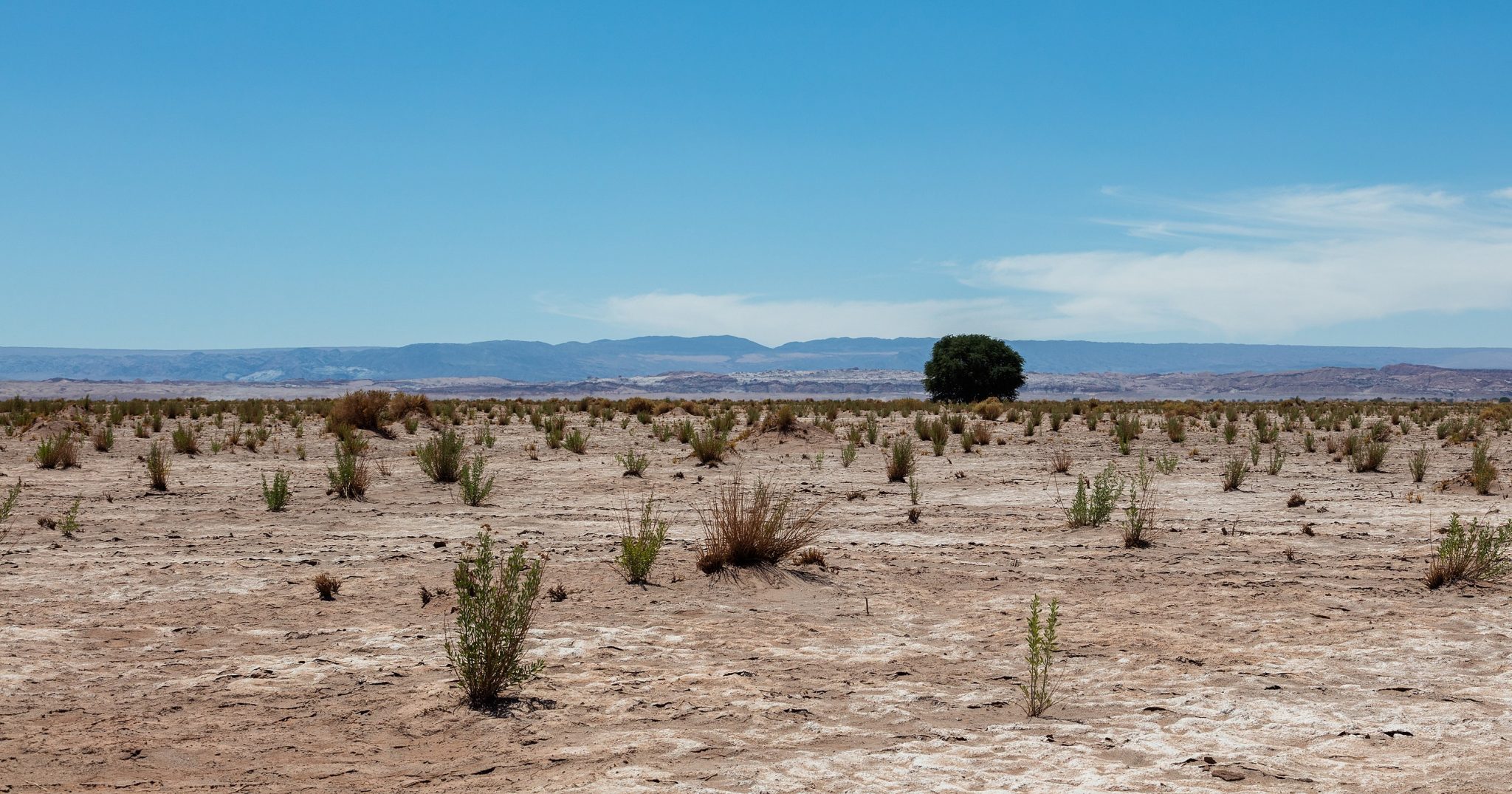 ¿Cuál es el desierto más seco del mundo? - Billiken
