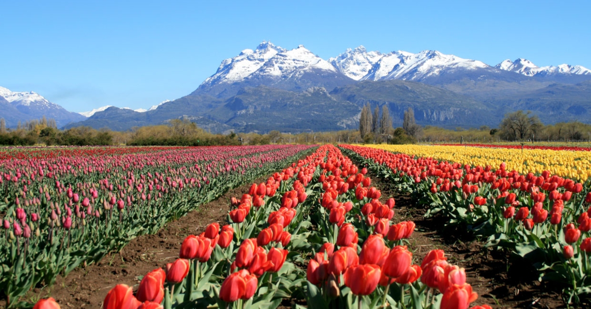 Tres pueblos argentinos compiten entre los mejores del mundo - Billiken