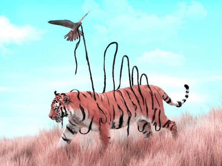 Surrealismo con animales: las originales obras de Julien Tabet - Billiken