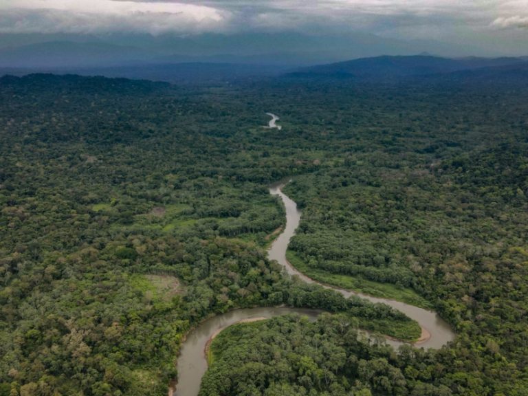 Tapón del Darién, la selva impenetrable que divide la Ruta Panamericana ...