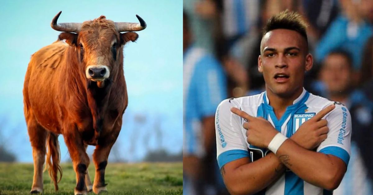 ¿Por qué lo apodan Toro a Lautaro Martínez? - Billiken