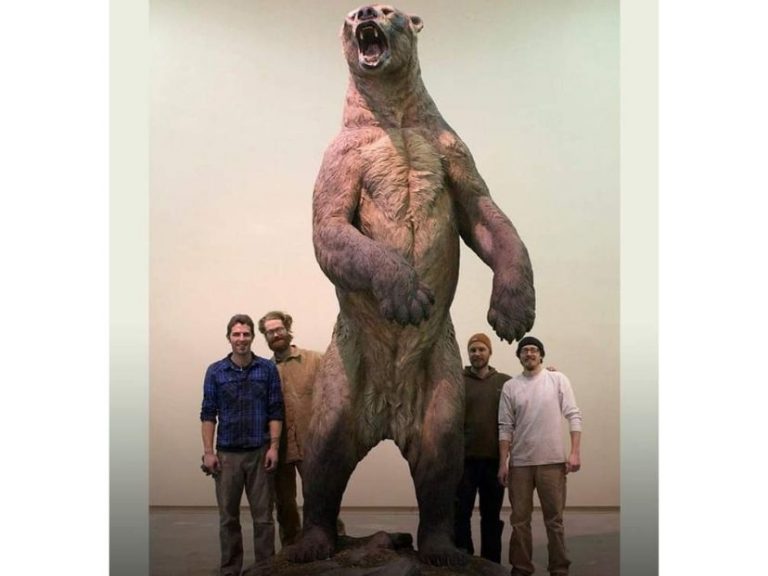 ¿Sabías que el oso más grande de la historia vivió en Argentina? - Billiken