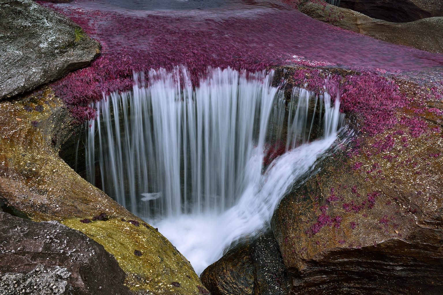¿Sabías que existe un río de colores en Colombia? - Billiken