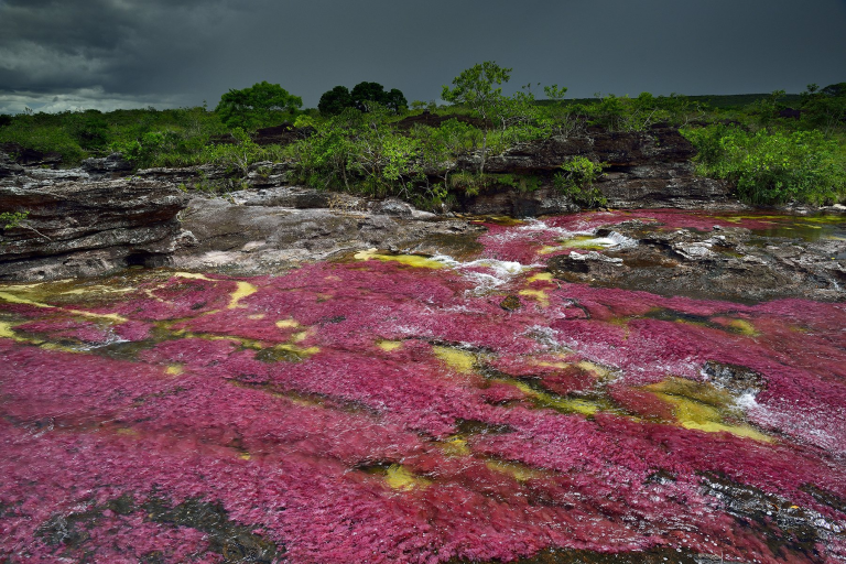 ¿Sabías que existe un río de colores en Colombia? - Billiken