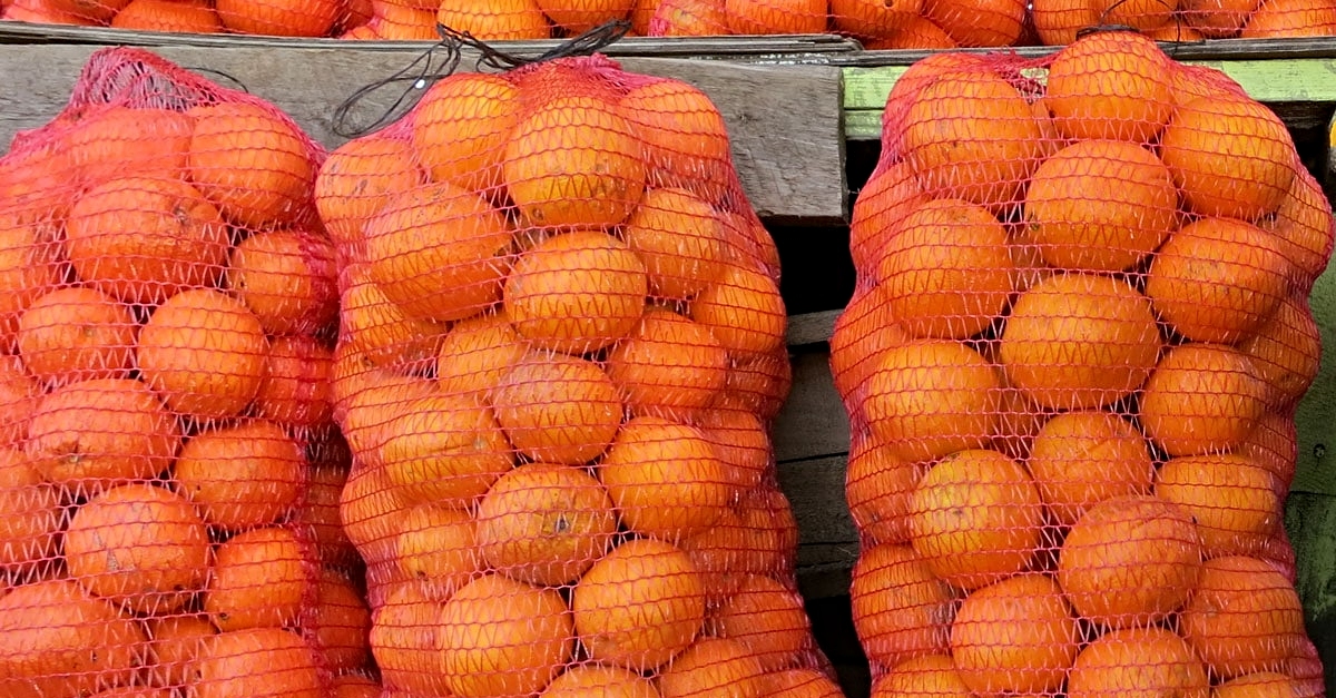 ¿Por qué las naranjas se suelen vender envueltas en una red roja ...