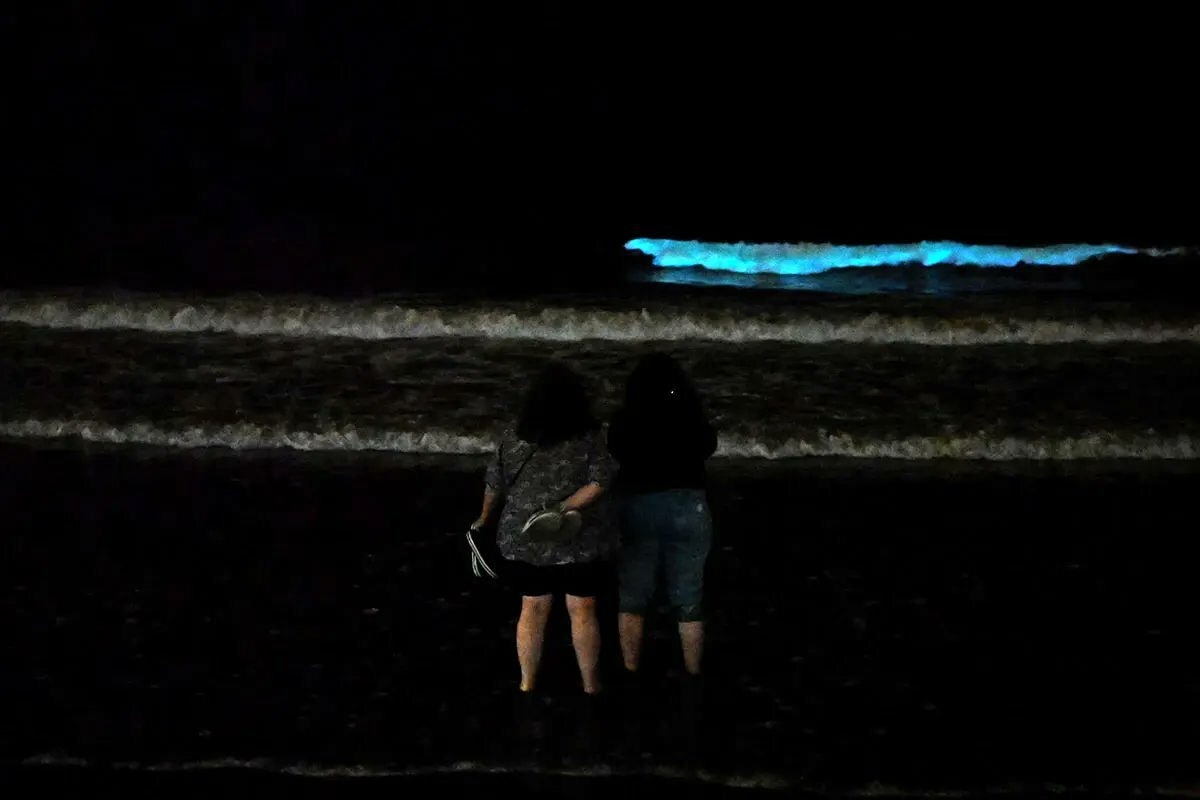 Inédito: las olas de Mar del Plata brillaron de color azul fluorescente ...