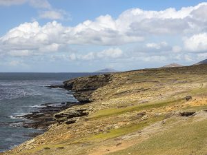 Islas Malvinas: detalles exclusivos de su relieve, flora y fauna - Billiken