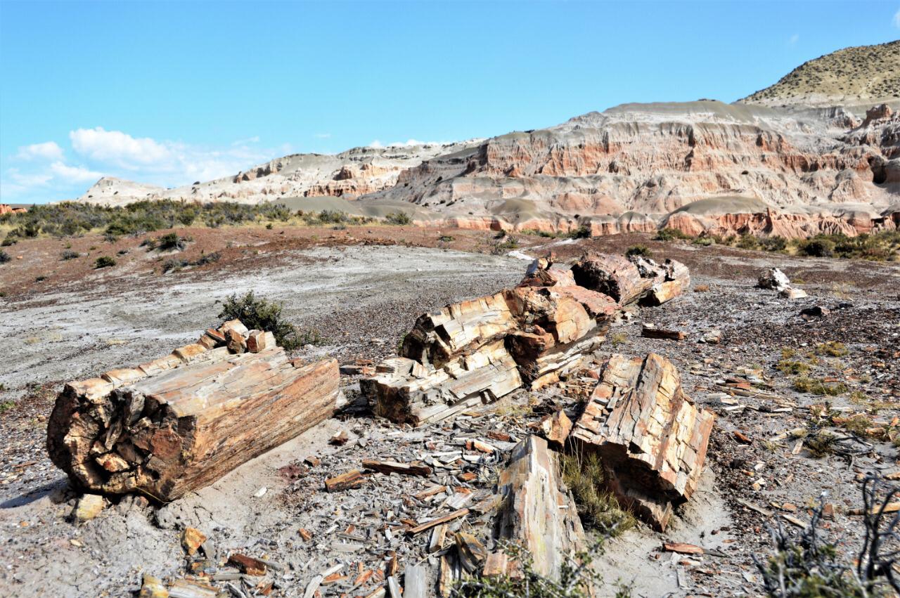 Rocas Coloradas, una increíble reserva que se oculta en la Patagonia ...