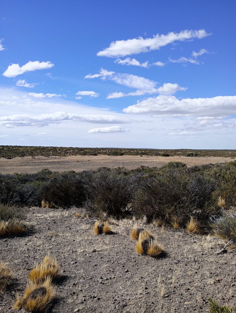 Cráteres de la Bajada del Diablo: el curioso atractivo turístico que se esconde en Chubut - Billiken