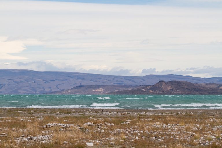 Lago Cardiel, un llamativo espejo de agua que está repleto de peces que ...