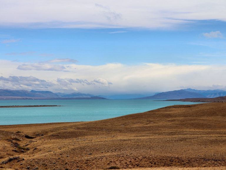 Lago Cardiel, un llamativo espejo de agua que está repleto de peces que ...