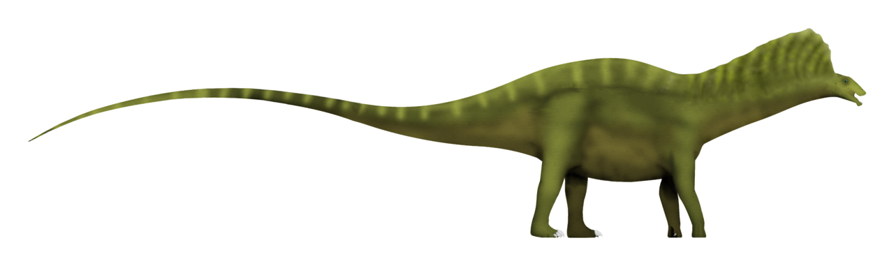 Bajadasaurus, el extraño dinosaurio que habitó la Patagonia Argentina ...