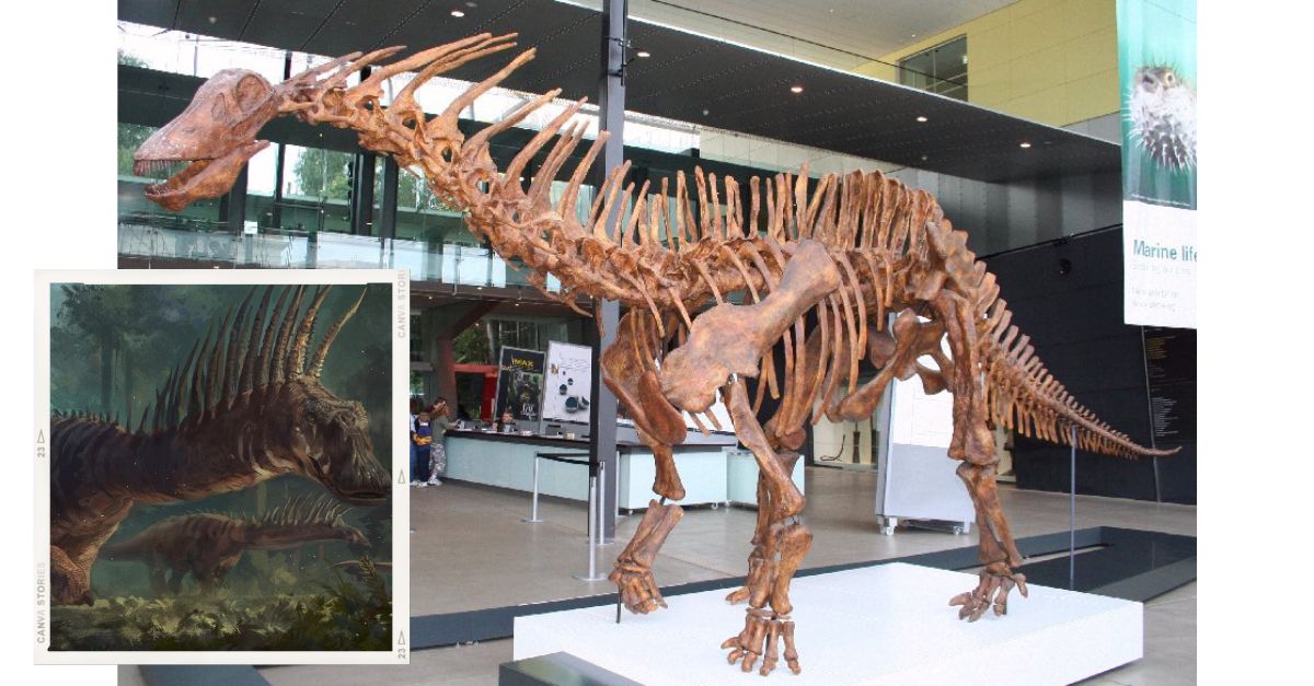 Bajadasaurus, el extraño dinosaurio que habitó la Patagonia Argentina ...