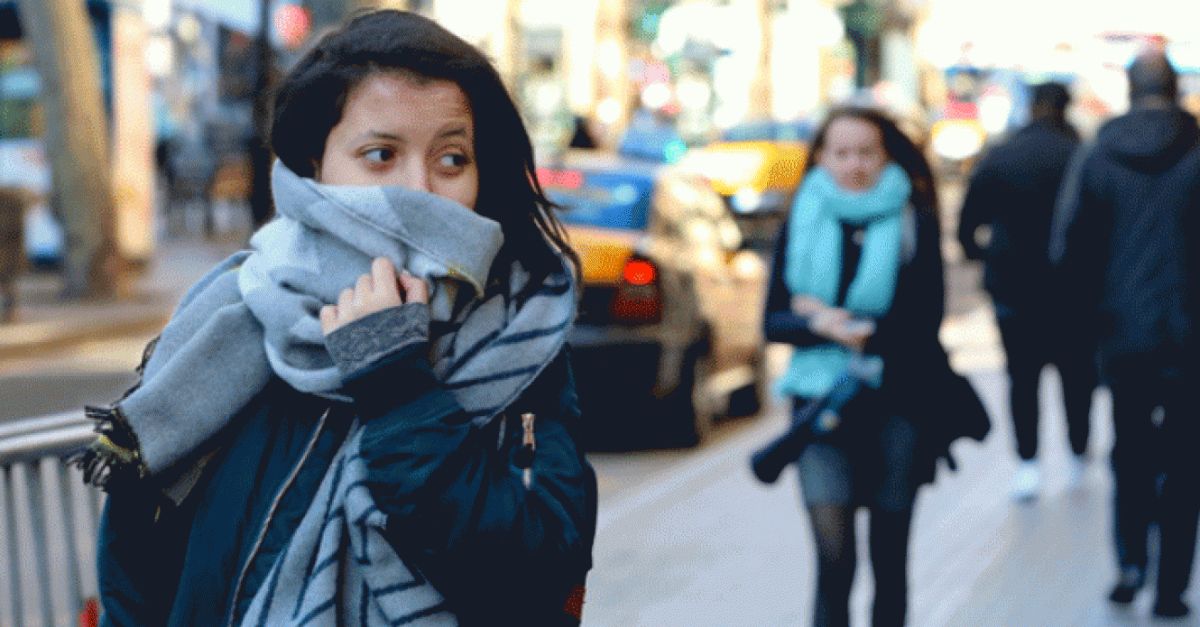 Ola polar: ¿en qué consiste? - Billiken