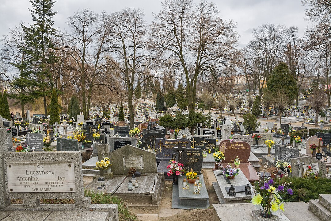Cementerio: ¿cuál es el origen de la palabra? - Billiken