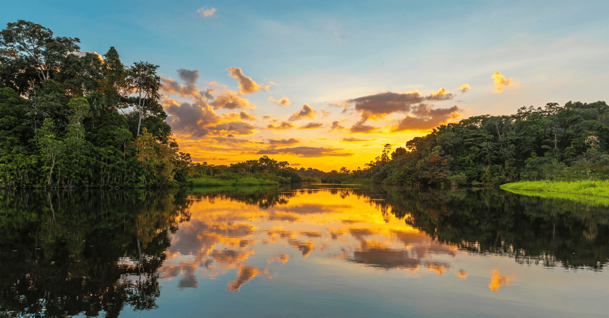 Conocé a Mamoré, uno de los ríos más largos de Bolivia - Billiken