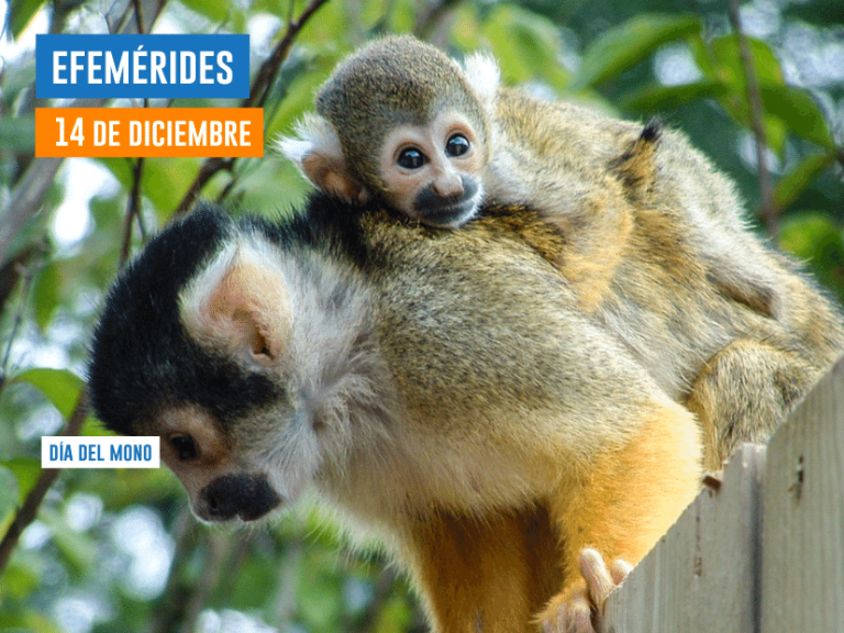 Efemérides del 14 de diciembre - Billiken