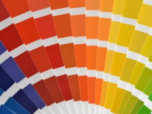¿Cuál es el color del 2024? - Billiken