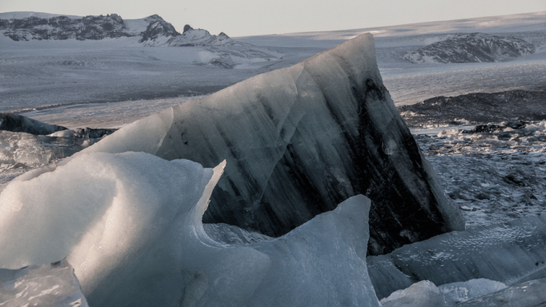 Línea de Wallace, el trazo invisible de la Tierra que separa dos ...