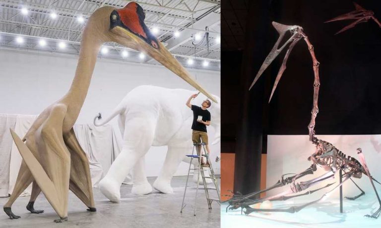 Quetzalcoatlus: el animal volador más grande de la prehistoria - Billiken