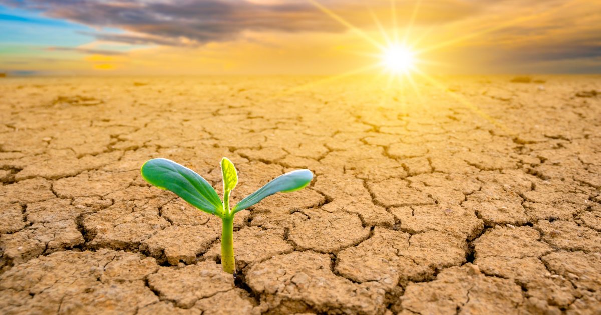 Cambio climático: ¿cómo sabemos que somos los humanos quienes lo ...