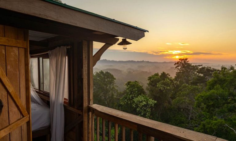 ¿Cuál es la casa del árbol más alta del Amazonas? - Billiken