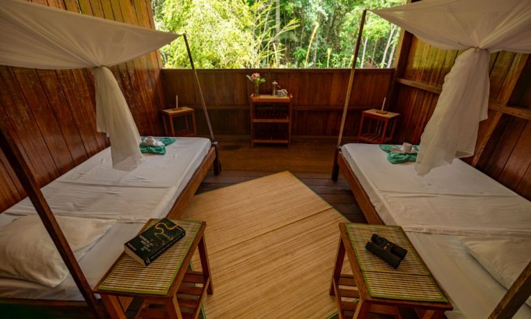 ¿Cuál es la casa del árbol más alta del Amazonas? - Billiken