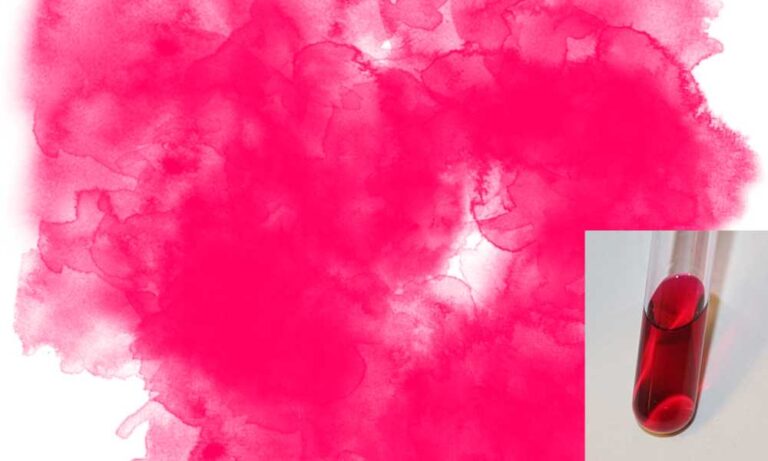 Fucsia: el origen e historia del color - Billiken