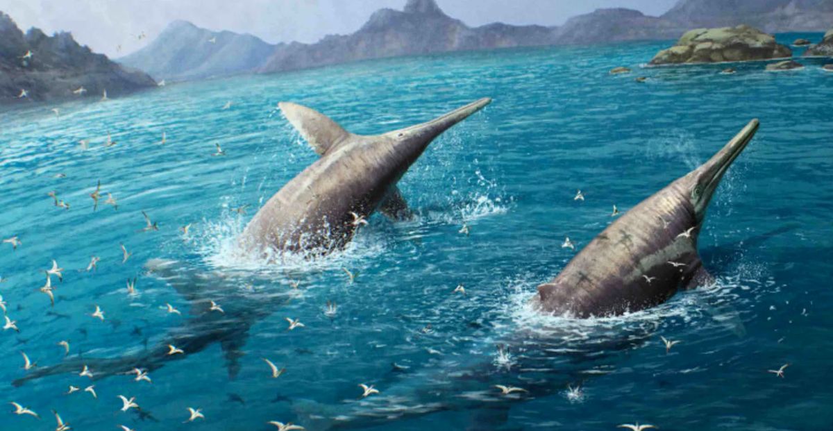 Ichthyotitan severnensis, el gran "delfín" que es el segundo animal ...