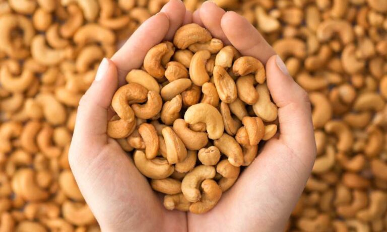 Castañas de cajú: el fruto seco ideal para el corazón - Billiken