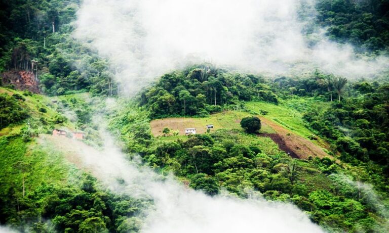 Las Yungas de Jujuy, un tesoro natural para todo el mundo - Billiken