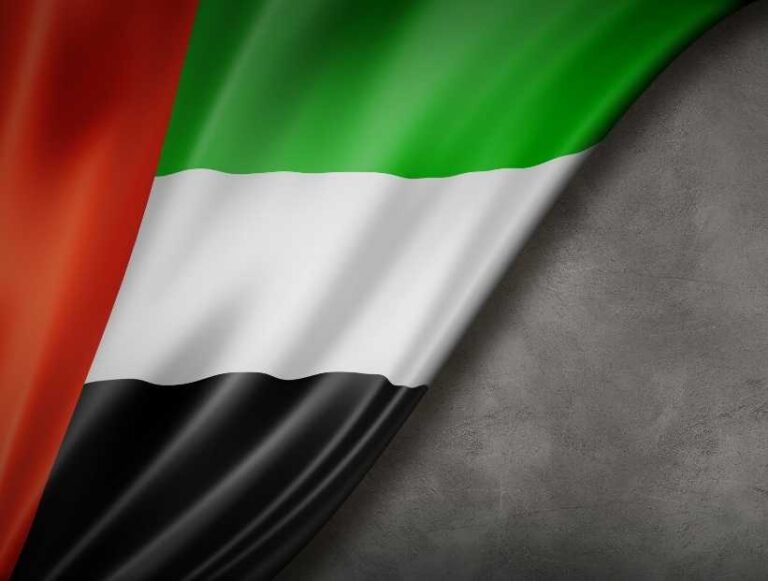 ¿Por qué la mayoría de las banderas árabes son blancas, negras, rojas y ...