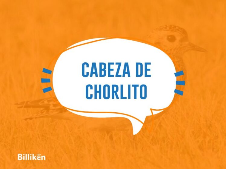 "Cabeza de chorlito": ¿cuál es el origen y significado de la frase ...