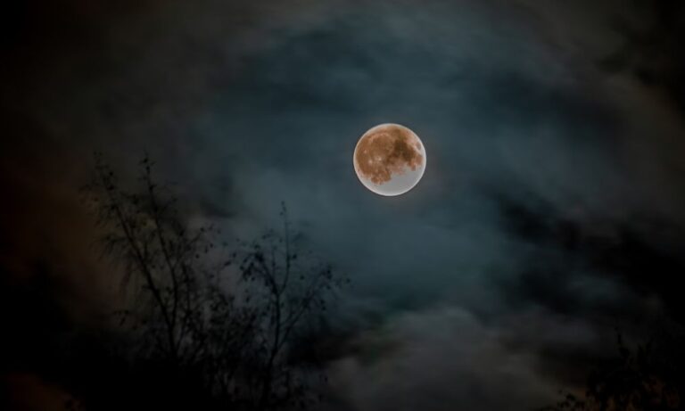 El Lobizón: la historia detrás de la leyenda argentina - Billiken