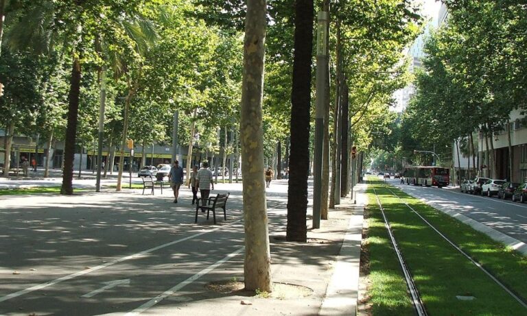 Bulevar: origen y significado de la palabra - Billiken