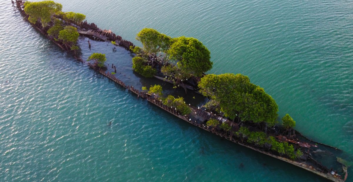 City of Adelaide: el histórico naufragio que se convirtió en una “isla ...