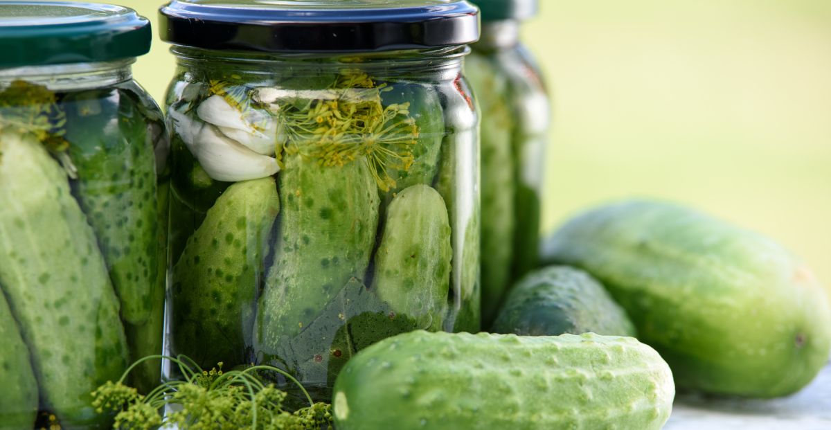Día Nacional del Pickle: un día para honrar a los pepinillos y todo lo ...
