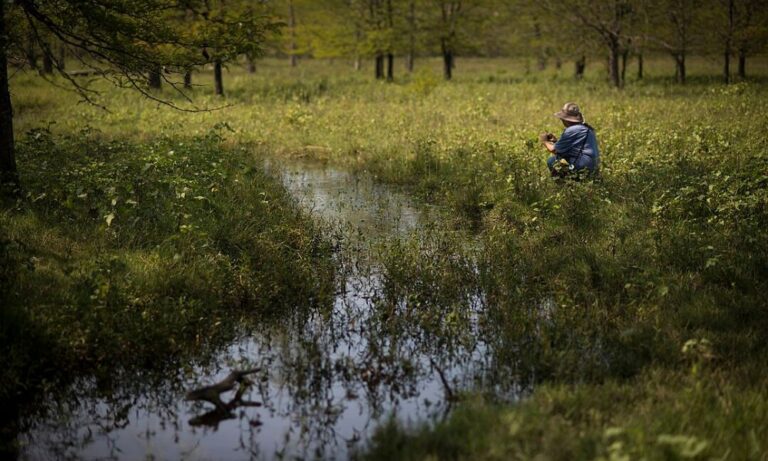 ¿Dónde nace el Riachuelo? - Billiken