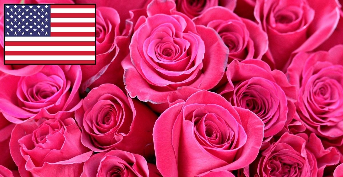 ¿Cuál es la flor nacional de Estados Unidos? - Billiken